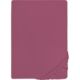Spannbettlaken &raquo;Jersey in Gr. 90x200, 140x200 oder 180x200 cm&laquo; aus Baumwolle, f&uuml;r Matratzen bis 22 cm H&ouml;he, Bettlaken, Spannbetttuch lila Jersey, 