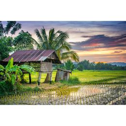 papermoon Fototapete &raquo;REIS-BAUERNHOF-THAILAND H&Uuml;TTE GEBIRGE FELD GEBIRGE PALM&laquo; bunt Vlies B/L: 4,5m x 2,8m, Bahnen: 9 Stk.
