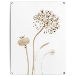 Reinders Poster &raquo;Trockenblumen&laquo; Outdoor f&uuml;r Garten oder Balkon beige Leinwand B/H/T: 60cm x 80cm x 0,1cm