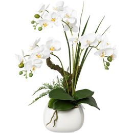 Creativ green Kunstorchidee &raquo;Deko-Orchidee Phalaenopsis im Keramiktopf&laquo; wei&szlig; Obermaterial: 95% Polyethylen, 5% Polyester B/H/L: 20cm x 46cm x 20cm, 1 