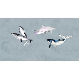 Livingwalls living walls Fototapete &raquo;Walls by Patel Ocean`s Five&laquo; glatt Vlies, Wand blau Vlies B/L: 5m x 2,7m