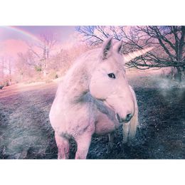 papermoon Fototapete &raquo;Unicorn&laquo; glatt bunt Vlies B/L: 1,5m x 1,11m, Bahnen: 7 Stk.
