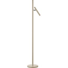HELL h&ouml;llisch gutes Licht LED Stehlampe &raquo;STREAK-B&laquo; LED-Modul 1 Stk. Warmwei&szlig; Tastdimmer beige 1, &Oslash; 22cm H: 134cm, 1 Stk.