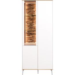 M&auml;usbacher Vitrine &raquo;Faro&laquo; Faro Vitrinenschrank B 81 cm, inkl. Bel., Push to open, Metallf&uuml;&szlig;e wei&szlig; ice white supermatt / asteiche, B/H/T: 81cm x 193cm x 42cm, 