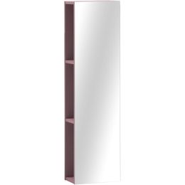 Schildmeyer Wandregal &raquo;Piazza, Spiegelregal, Made in Germany, B: 30 cm&laquo; 1 Stk. tlg. Solide Verarbeitung - Dieses Produkt ist in Deutschland gefertigt rosa 