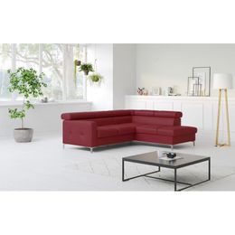 COTTA Ecksofa &raquo;Sammy L-Form&laquo; mit Kopfteilverstellung, wahlweise mit Schlaffunktion & Bettkasten rot Microfaser Primabelle (100% Polyester);Die 