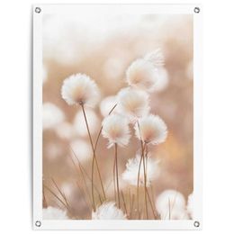 Reinders Poster &raquo;Baumwollzweig&laquo; Garten - Trockenblume - Beige - Leinwand - Blumen und Pflanzen beige B/H/T: 60cm x 80cm x 0,1cm