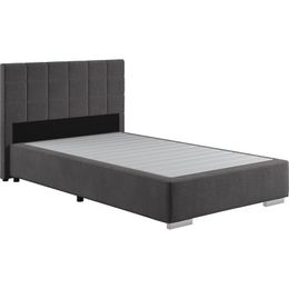 COTTA Boxspringbett &raquo;Simba in verschiedenen Farben und Breiten erh&auml;ltlich, ohne Matratze&laquo; im Bezugsstoff: Karo grau Polyester Stoff Karo Polyester 