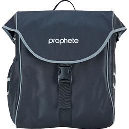 Prophete Fahrradtasche &raquo;Seitenpacktasche&laquo; schwarz B/H/T: 34,5cm x 34,5cm x 15cm Fahrradtasche