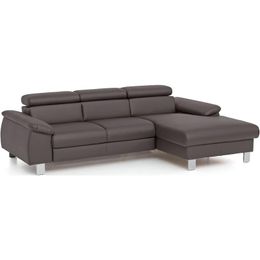 COTTA Ecksofa &raquo;Komaris L-Form, B: 244 cm&laquo; mit Kopfteilverstellung, optional Schlaffunktion, Bettkasten & Licht Microfaser PRIMABELLE (100% Polyester);