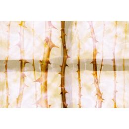 ARCHITECTS PAPER Fototapete &raquo;Atelier 47 Thorn Art 2&laquo; floral glatt Vlies, Wand, Schr&auml;ge, Decke bunt Vlies B/L: 4m x 2,7m