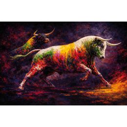 Bild &raquo;Wandbild BUNTER STIER 78x118 cm &ndash; Leinwandbild Keilrahmen Deko modern&laquo; Kuh K&uuml;he Tiere auf Keilrahmen gespannt Canvas, MDF B/H/T: 78cm x 118cm x 