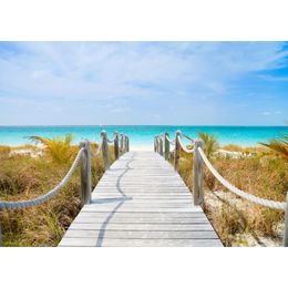 papermoon Fototapete &raquo;Dunes Carribean Beach&laquo; glatt bunt Vlies B/L: 1,5m x 1,11m, Bahnen: 7 Stk.