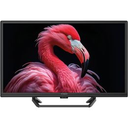 Strong LED-Fernseher &raquo;SRT 24HG4723C&laquo; 60 cm/24 &prime;&prime; HD Smart-TV Video-Streaming: Netflix, Youtube, Amazon Prime Video, Disney+ schwarz Teilen Sie Medien oder 