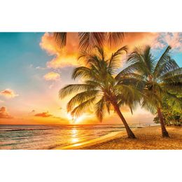 papermoon Fototapete &raquo;Barbados Palm Beach&laquo; glatt bunt Vlies B/L: 2m x 1,49m, Bahnen: 4 Stk.