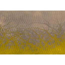 ARCHITECTS PAPER Fototapete &raquo;Atelier 47 Thorn hedge 3&laquo; Farbverlauf glatt Vlies, Wand, Schr&auml;ge, Decke bunt Vlies B/L: 4m x 2,7m
