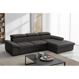 Sit & More sit&more Ecksofa &raquo;Viola, Leder, L-Form, B: 260 cm, mit Armteil- und Kopfteilvertsellung&laquo; optional mit Schlaffunktion grau B/H/T: 260cm x 73cm x 174cm,