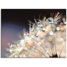 Artland Leinwandbild &raquo;Pusteblume Fantasie&laquo; Blumen 1 Stk. tlg. auf Holzrahmen gespannt bunt B/H/T: 60cm x 45cm, Leinwandbild Blumen, 1 Stk.