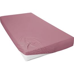 Primera Spannbettlaken &raquo;Mako-Feinjersey Spannbetttuch&laquo; Geeignet f&uuml;r Standardmatratzen bis 22 cm, 100% Baumwolle rot Mako-Jersey, Obermaterial: 100% Baumwolle 