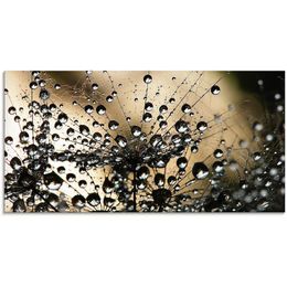 Artland Glasbild &raquo;Nasser L&ouml;wenzahn&laquo; Blumen 1 Stk. tlg. in verschiedenen Gr&ouml;&szlig;en schwarz B/H/T: 60cm x 30cm, Glasbild Blumen, 1 Stk.