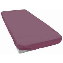 Estella Spannbettlaken &raquo;Jersey Topper aus Baumwolle mit Elasthan&laquo; f&uuml;r Topper bis 10 cm H&ouml;he lila Jersey, Obermaterial: 97% Baumwolle, 3% Elasthan B/L: 100cm x
