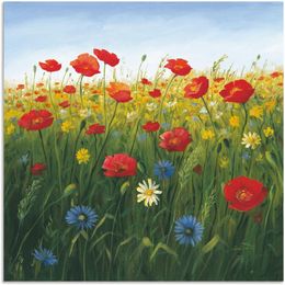 Artland Wandbild &raquo;Mohnblumen Landschaft I&laquo; Blumenwiese 1 Stk. tlg. als Alubild, Leinwandbild in verschied. Gr&ouml;&szlig;en gr&uuml;n B/H/T: 40cm x 40cm, Alu-Dibond-Druck 
