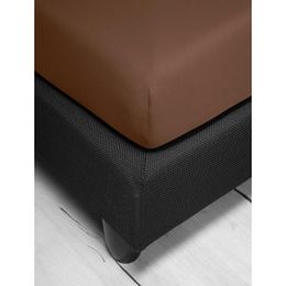 Irisette Spannbettlaken &raquo;Jupiter 8&laquo; aus Baumwolle, f&uuml;r Matratzen bis 25 cm H&ouml;he, Bettlaken, Spannbetttuch braun Mako-Jersey, Obermaterial: 100% Baumwolle B/L: 