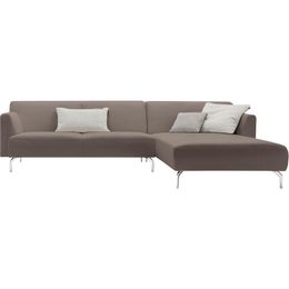 Creation BY ROLF BENZ Ecksofa &raquo;CR.446 elegantes Designsofa mit hohem Sitzkomfort&laquo; in minimalistischer, schwereloser Optik, Breite 275 cm grau B/H/T: 