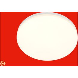 Briloner Leuchten LED Deckenleuchte &raquo;STAN&laquo; LED-Modul 1 Stk. 22x6 cm, Wohnzimmer, Schlafzimmer, Flur, K&uuml;che 1, H: 51cm, 1 Stk.