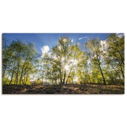 Artland Leinwandbild &raquo;Fr&uuml;hlingssonne&laquo; Wald 1 Stk. tlg. auf Holzrahmen gespannt gr&uuml;n Leinwand B/H/T: 150cm x 75cm, Leinwandbild Wald Querformat, 1 Stk.