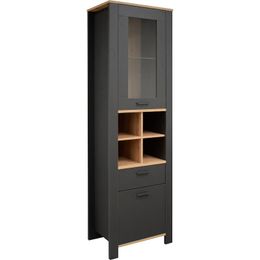 M&auml;usbacher Standvitrine &raquo;Nele&laquo; H&ouml;he 203 cm schwarz anthrazitmatt lack, B/H/T: 63cm x 203cm x 44cm