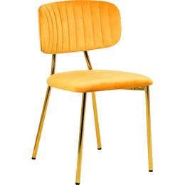 Kayoom Esszimmerstuhl &raquo;Stuhl Kian 125 2er-Set,filigranes Metallgestell,pflegeleicht Samtbezug&laquo; (Set) 2 Stk.samtweicher Bezug, pflegeleichter Samtbezug orange