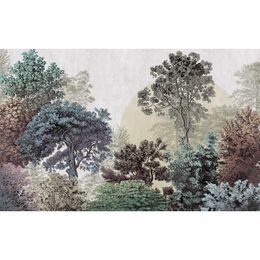Komar Vliestapete &raquo;Digitaldruck Vlies - Bois Brumeux - Gr&ouml;&szlig;e 400 x 250 cm&laquo; bedruckt glatt Wohnzimmer, Schlafzimmer bunt Vlies B/L: 400m x 250m, Rollen: 1