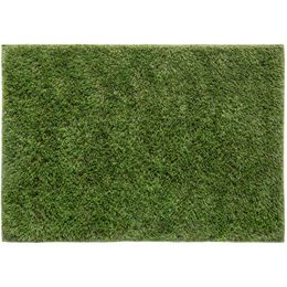 ANDIAMO Fu&szlig;matte &raquo;Kuba, 50/70 cm, ideal f&uuml;r Fu&szlig;ball Fans&laquo; rechteckig 23 mm H&ouml;he Kunstrasen, gr&uuml;n, Schmutzfangmatte, In- und Outdoor geeignet gr&uuml;n Polyethylen 