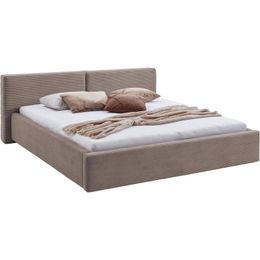 Meise M&ouml;bel meise.m&ouml;bel Polsterbett &raquo;Cube wahlweise mit Matratze und Bettkasten&laquo; extra flaches Kopfteil, erh&auml;ltlich in den Breiten 140cm, 160cm & 180cm grau 