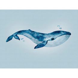 Livingwalls living walls Kindertapete &raquo;The Wall&laquo; Meer Motiv Strand glatt Fototapete Unterwasser Tapete Fische Tapeten Kinderzimmer modern Optik blau Vinyl, Vlies 