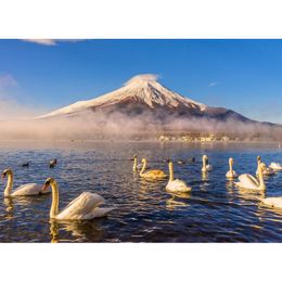 papermoon Fototapete &raquo;Mount Fuji&laquo; glatt bunt Vlies B/L: 5m x 2,8m, Bahnen: 10 Stk.