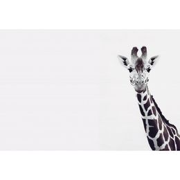 Livingwalls living walls Fototapete &raquo;ARTist Giraffe Potrait&laquo; Vlies, Wand, Schr&auml;ge schwarz Vlies B/L: 4m x 2,7m