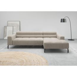 Home Affaire Ecksofa &raquo;Claya, 258 cm breit, L-Form, Kopfteilverstellung&laquo; Moderne Steppung, weicher Polsteraufbau & saugroboterfreundliche H&ouml;he 95% 