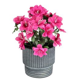 I.GE.A. Kunstblume &raquo;Azaleen im &Uuml;bertopf 28cm Rhododendron Blumen k&uuml;nstlich Seidenblume&laquo; Topfpflanze Bl&uuml;hende Pflanze Blume Kunstpflanze Zimmerpflanze 