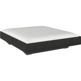 Rauch Futonbett &raquo;Phoenix&laquo; ohne Kopfteil grau Liegefl&auml;che L&auml;nge B: 200cm x 180cm, H&ouml;he Bett: 41cm, ohne Matratze