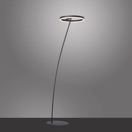 Paul Neuhaus Stehlampe &raquo;TITUS&laquo; LED-Board 1 Stk. Warmwei&szlig; LED, dimmbar &uuml;ber Schnurdimmer grau 1, &Oslash; 45,5cm H: 215cm, 1 Stk.