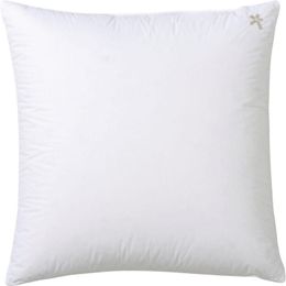 Centa Star Federkissen &raquo;Kopfkissen Classik medium&laquo; F&uuml;llung: 70Federn30Daunen 1 Stk. tlg. wei&szlig; Bezug: 100% Baumwolle. F&uuml;llung: 70% Federn, 30% Daunen B/H/L: 80cm 