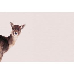 Livingwalls living walls Fototapete &raquo;ARTist Deer Rose&laquo; Vlies, Wand, Schr&auml;ge beige Vlies B/L: 4m x 2,7m