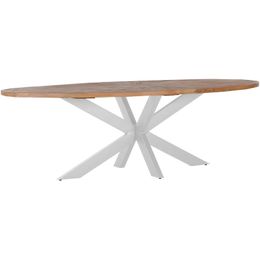 GUTMANN FACTORY Esstisch beige B/H/T: 254cm x 78cm x 135cm