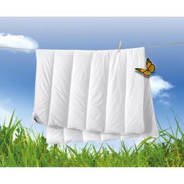 Billerbeck Microfaserbettdecke &raquo;Liliane, Bettdecke 135x200 cm, 155x220 cm, Sommer, Winter&laquo; warm F&uuml;llung 100% Polyester, AIRFILL-Faser 1 Stk. tlg. Die 