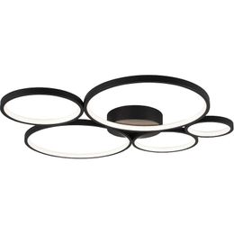 Trio Leuchten LED Deckenleuchte &raquo;Rondo&laquo; LED-Modul 1 Stk. Warmwei&szlig; Decken- oder Wandlampe, LED warmwei&szlig; 3000K dimmbar per Wandschalter schwarz 5, H: 