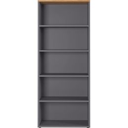 Germania Aktenregal &raquo;GW-Agenda Aktenregal&laquo; mit verstellbaren Einlegeb&ouml;den, Breite 45 oder 80 cm, Made in Germany grau Holzwerkstoff B/H/T: 80cm x 