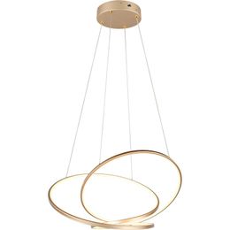 Trio Leuchten LED Pendelleuchte &raquo;DARVIN, LED H&auml;ngelampe 52W 6700 Lumen, dimmbar, Lichtfarbe einstellbar&laquo; LED-Board 1 Stk. warmwei&szlig; - kaltwei&szlig; CCT 2300