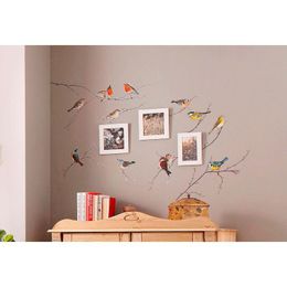 Komar Wandtattoo &raquo;Vogerl - Gr&ouml;&szlig;e 50 x 70 cm&laquo; selbstklebend, Wandsticker bunt Folie B/H/T: 50cm x 70cm, V&ouml;gel